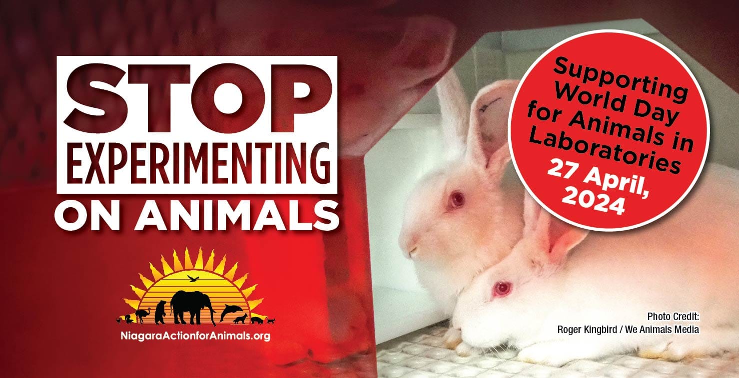 NAfA Hosts Billboard - World Week for Animals in Laboratories - Niagara ...